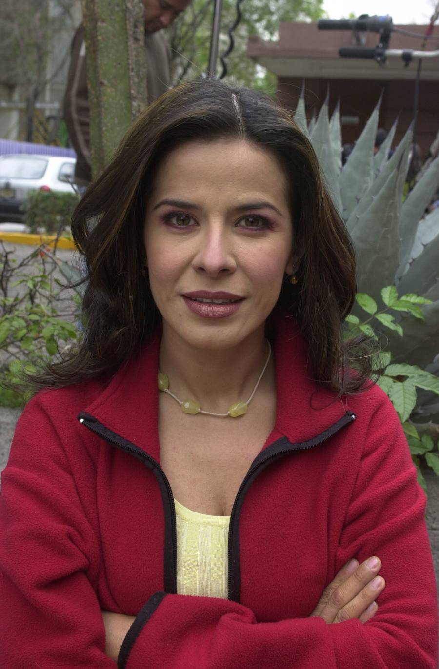 Artistas piden aclarar expropiación y salvar FONCA ...