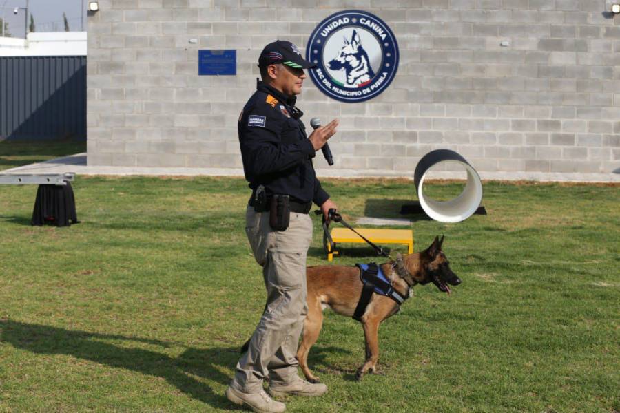 Ayuntamiento de Puebla conforma unidad canina de rescate - ContraRéplicaPuebla - Noticias