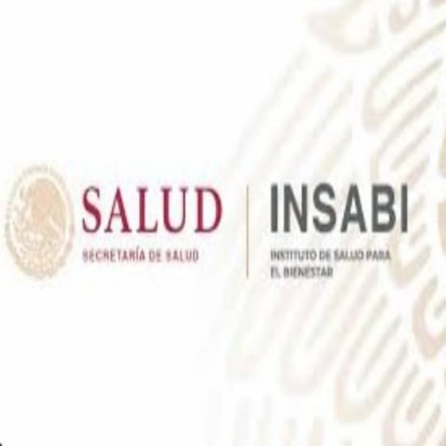 ¿Cuál fue el logro del desaparecido INSABI en este gobierno de AMLO ...
