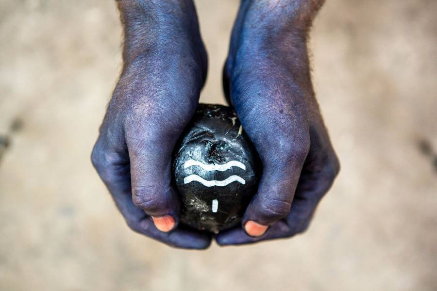 Capside, obra de bioarte que llega COP16, una fusión de arte y ciencia - ContraRéplicaPuebla ...