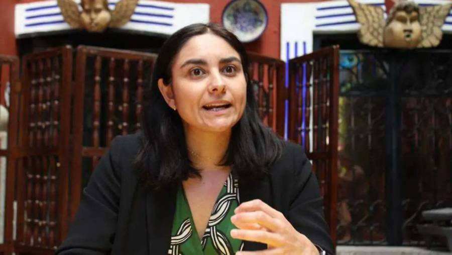 Helena Monzón: 'Sobrecarga de trabajo afecta la justicia en Puebla ...